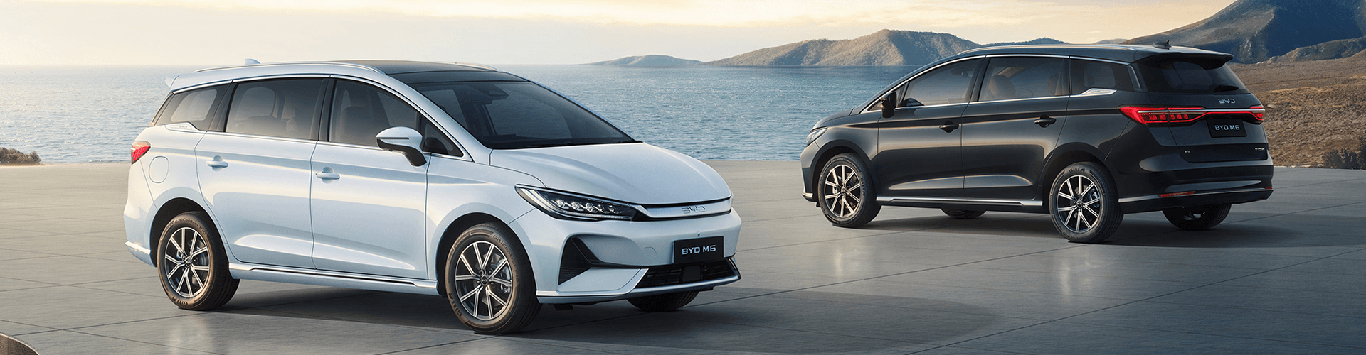 BYD | Rever Automotive