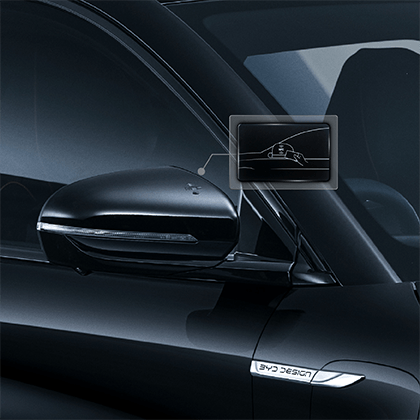 BYD | Rever Automotive