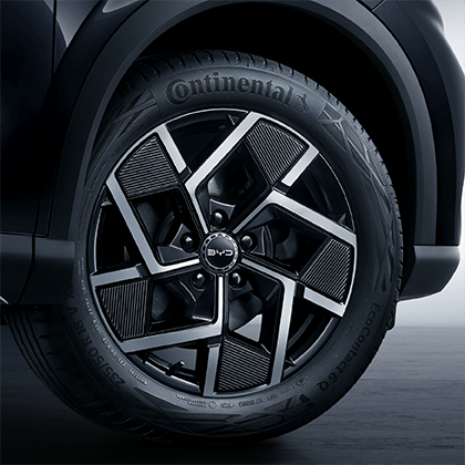 BYD | Rever Automotive