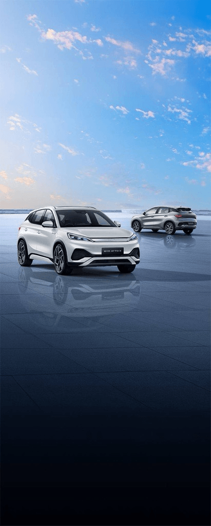 BYD | Rever Automotive