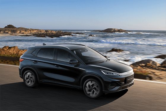 BYD | Rever Automotive