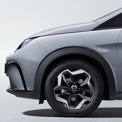 BYD | Rever Automotive