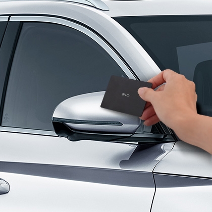 BYD | Rever Automotive