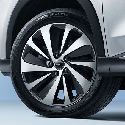 BYD | Rever Automotive