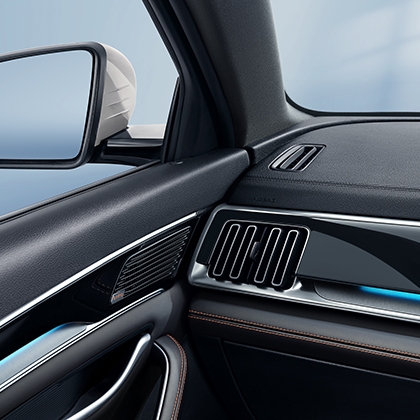 BYD | Rever Automotive