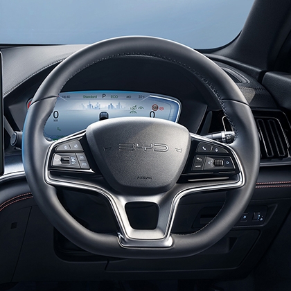 BYD | Rever Automotive