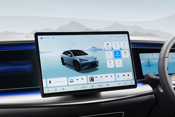 BYD | Rever Automotive