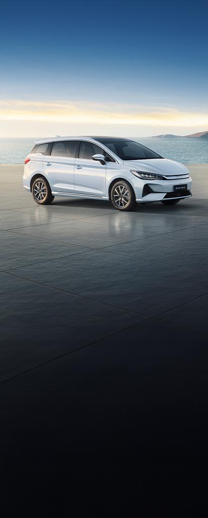 BYD | Rever Automotive