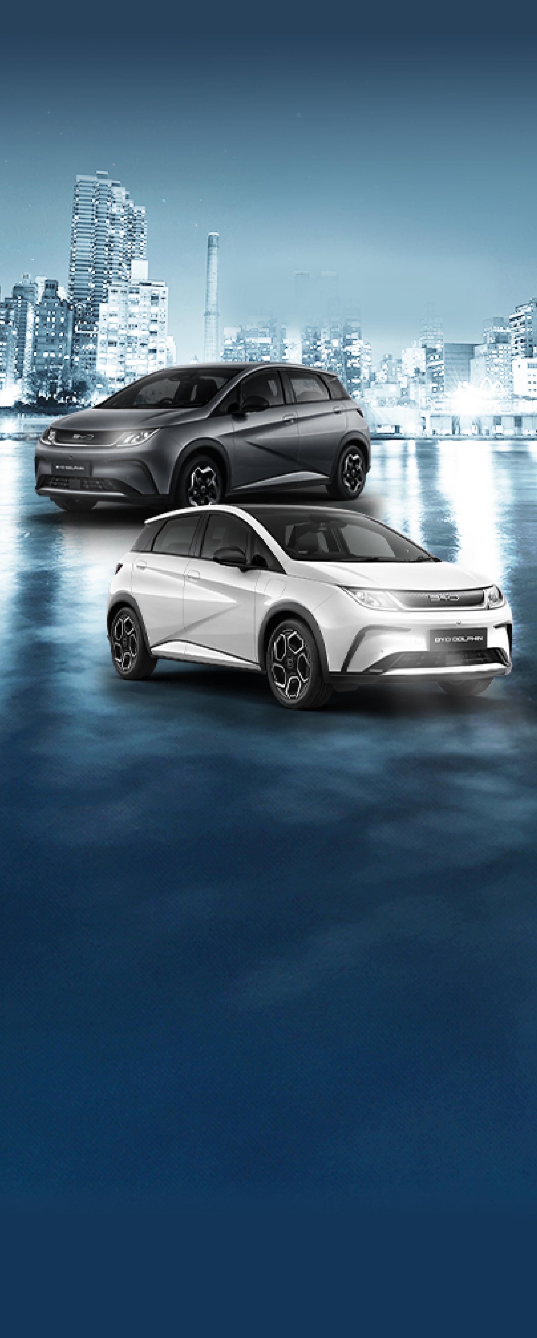 BYD | Rever Automotive