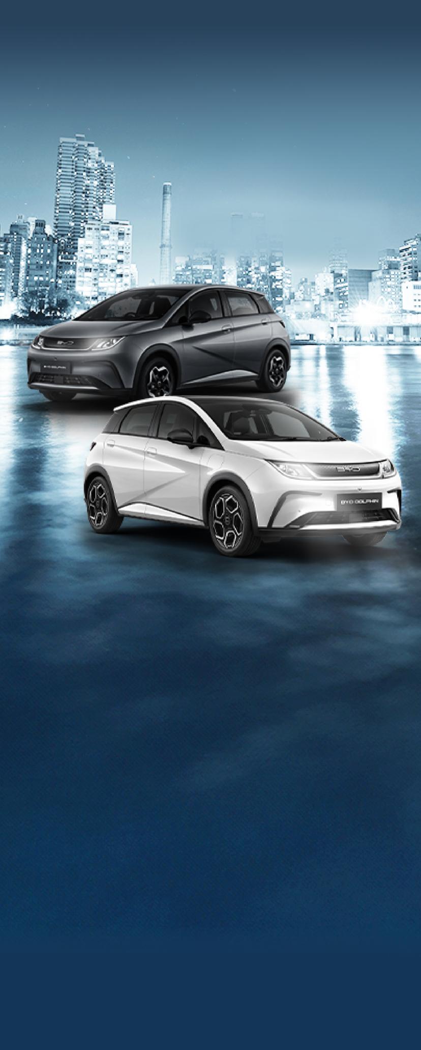 BYD | Rever Automotive