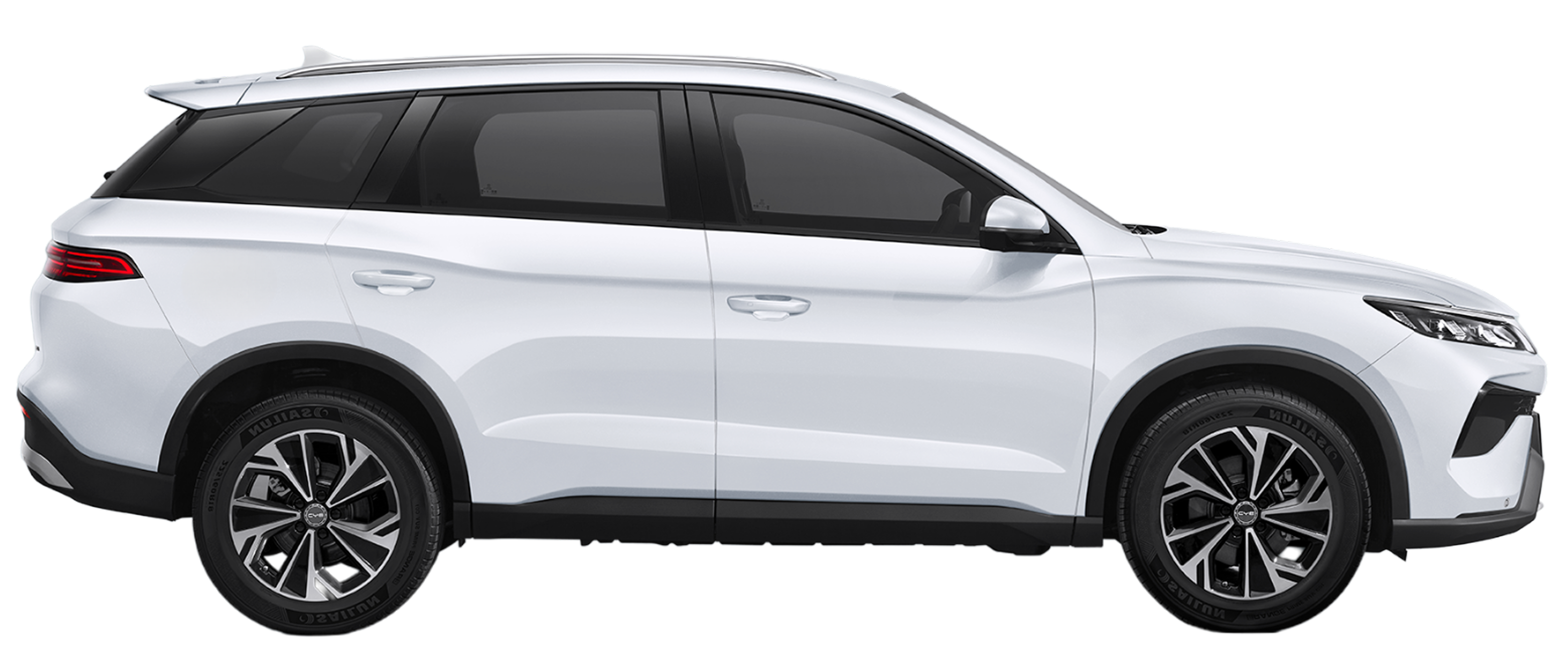 BYD Timeline | EV Growth & Technology | Rever Automotive